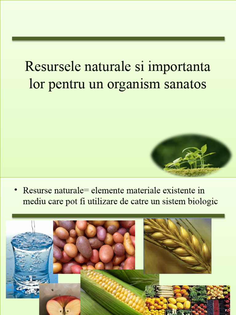 Resursele Naturale Si Importanta Lor Pentru Un Organism | PDF