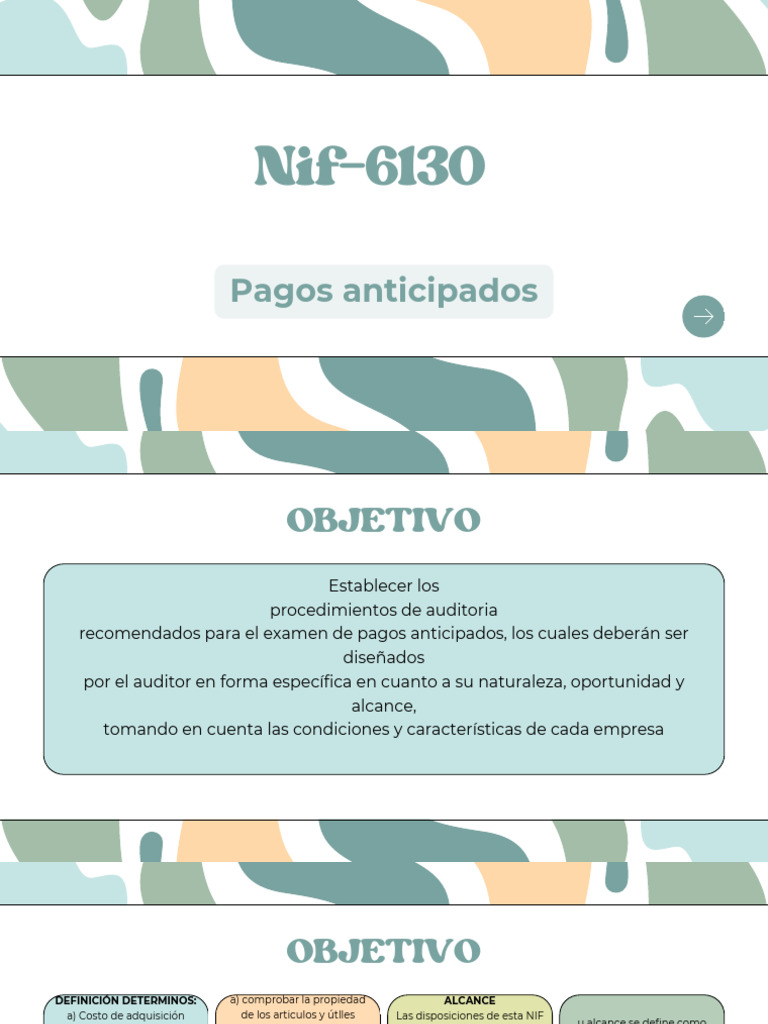 Nif 6130 | PDF | Auditoría | Business