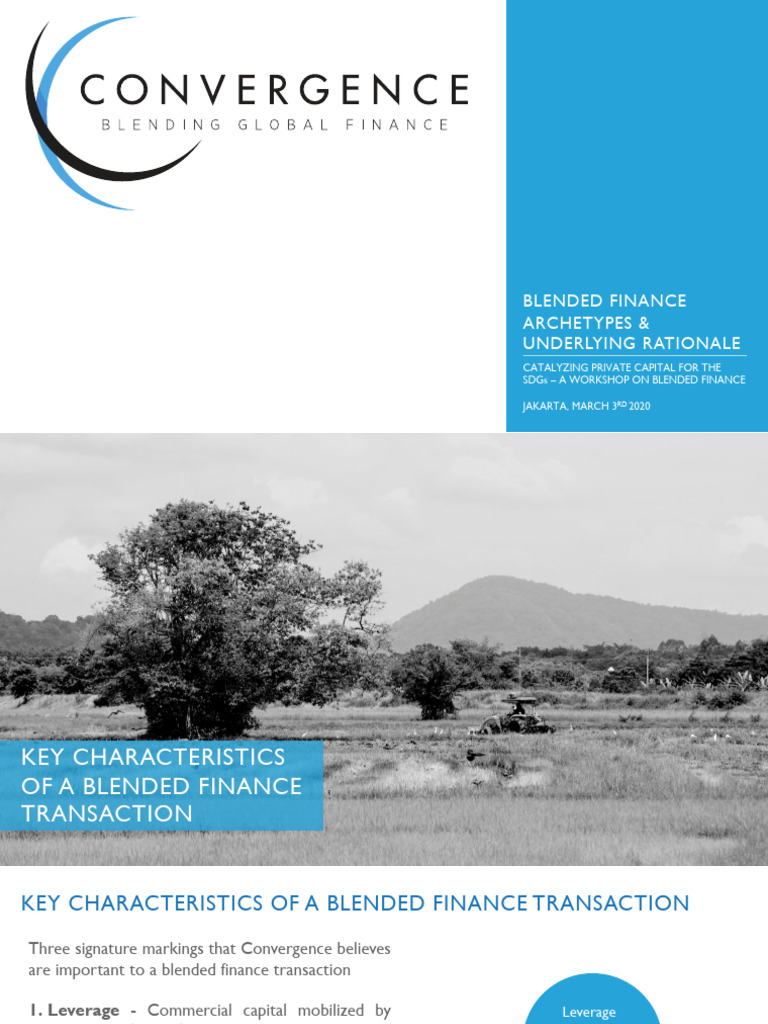 Blended Finance Archetypes - Underlying Rationale | PDF | Debt ...