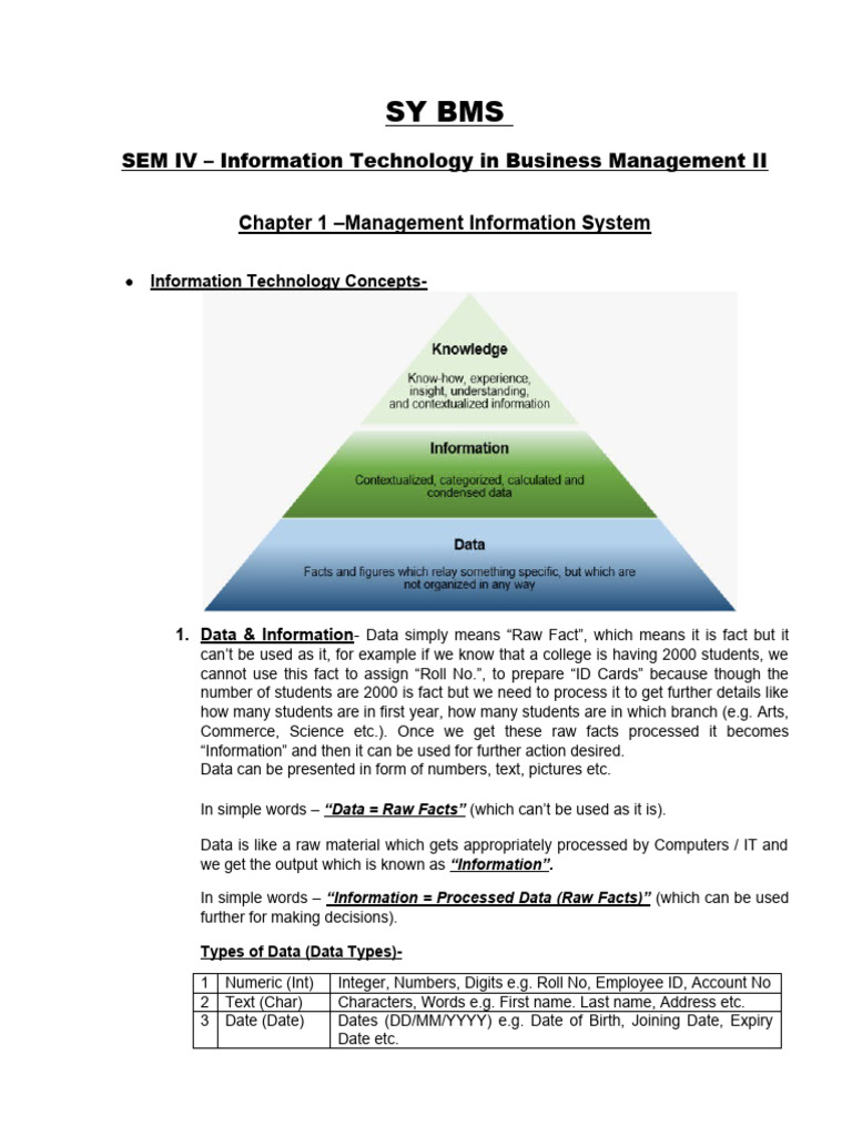 Chapter 1 Mis Download Free Pdf Information Databases