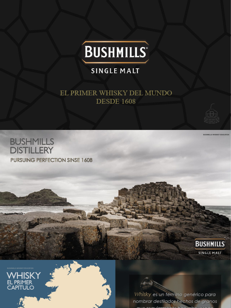 Bushmills Education 2022 Full Version | PDF