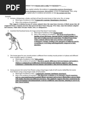 Biochemical Evidence For Evolution Worksheet 28 Answers An