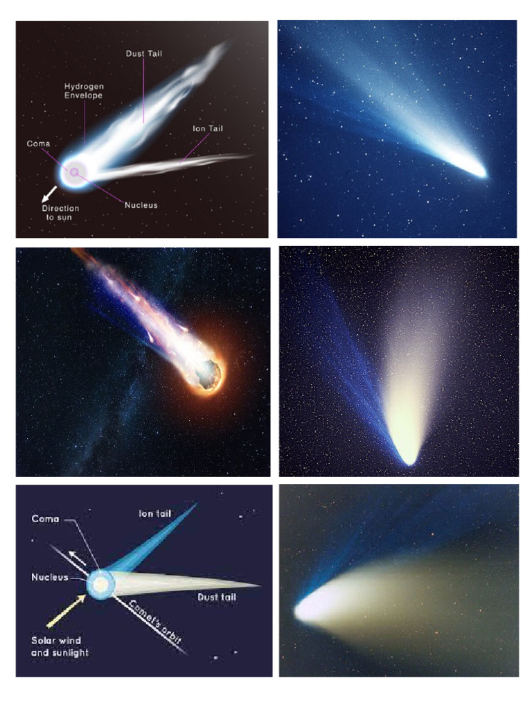 Halleys Comet | PDF