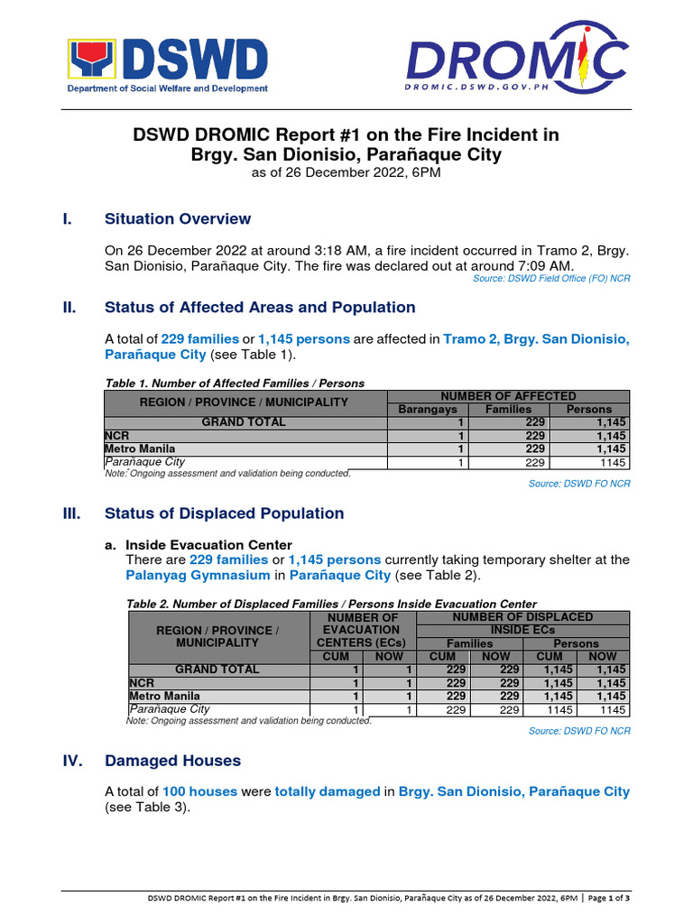DSWD DROMIC Report 1 On The Fire Incident in Brgy. San Dionisio ...