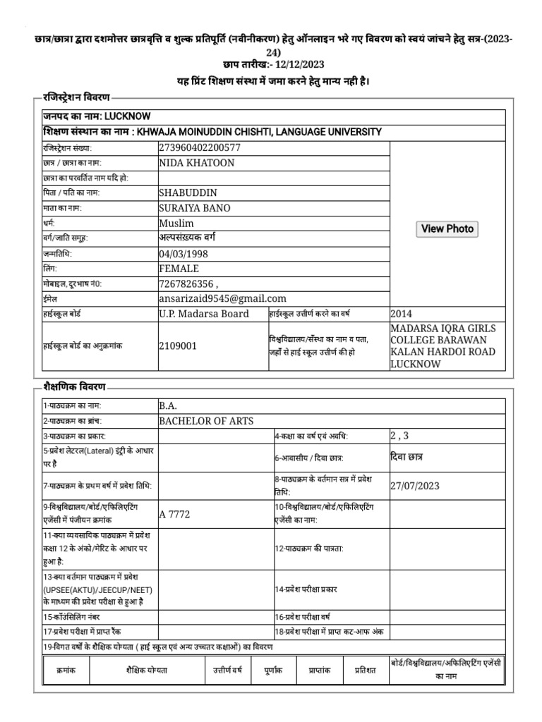 Summary Report Nida | PDF
