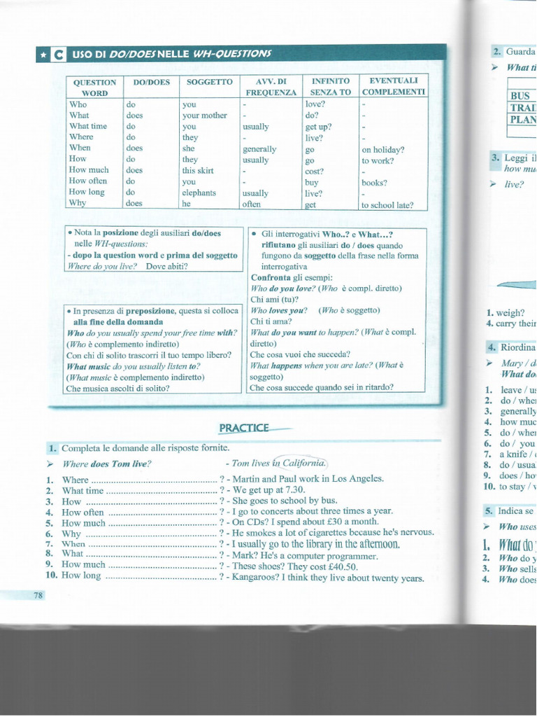 WH e Pres Simple P 78-1 | PDF
