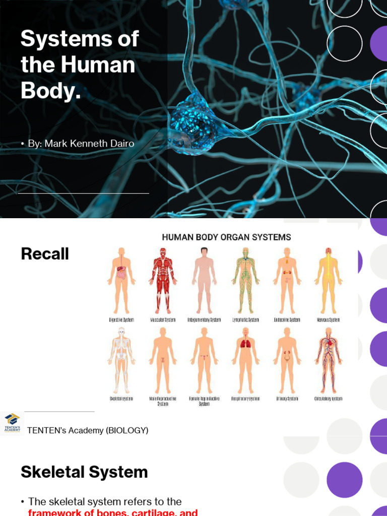 Nmat Biology - 2 - Organ System Part 2 | PDF | Science & Mathematics