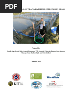 Tilapia Farming Techniques and Tips | PDF | Aquaculture