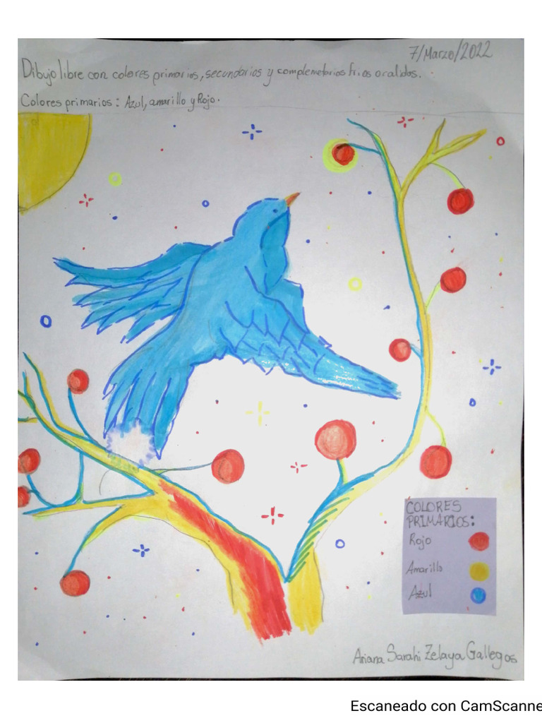 Dibujos Con Colores Primarios, Secundarios y Complementarios | PDF