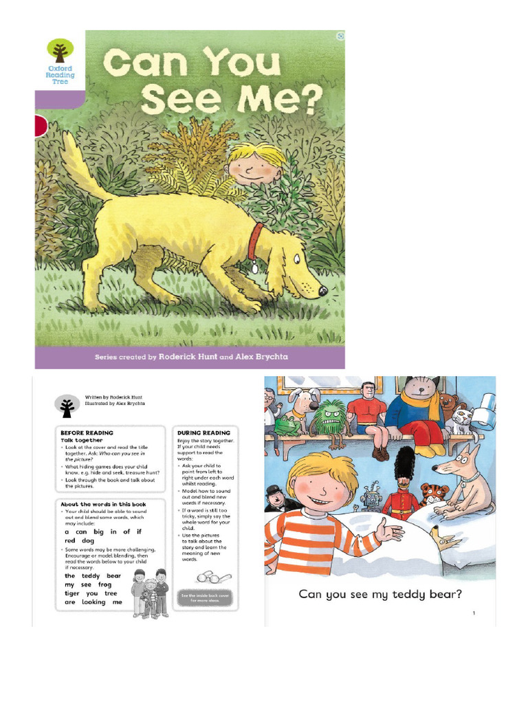 Book Can You See Me | PDF