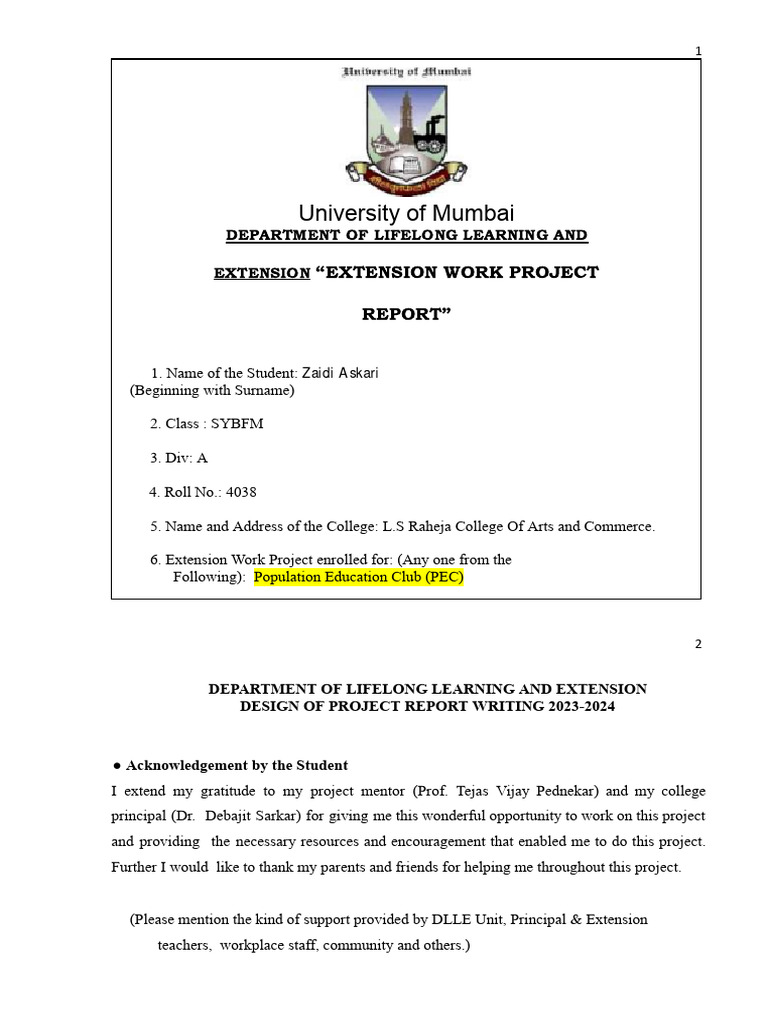 DLLE Extension Work Project Insights | PDF | Empowerment | Social ...