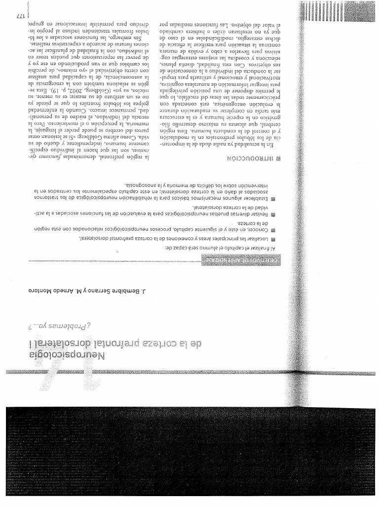 Nps Del Coì Rtex Prefrontal Dorsolateral I | PDF