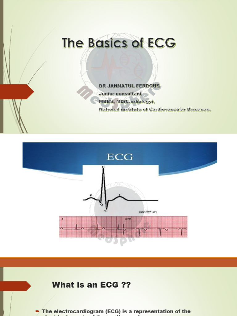 The Basics of ECG | PDF
