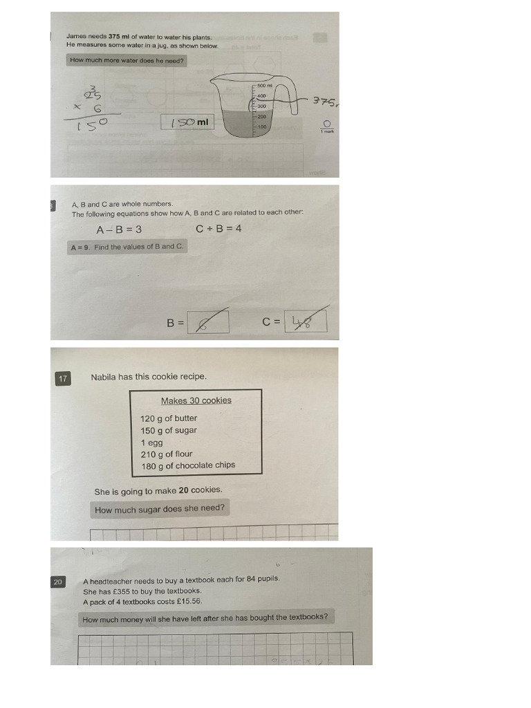 Julia SATS Maths Q | PDF