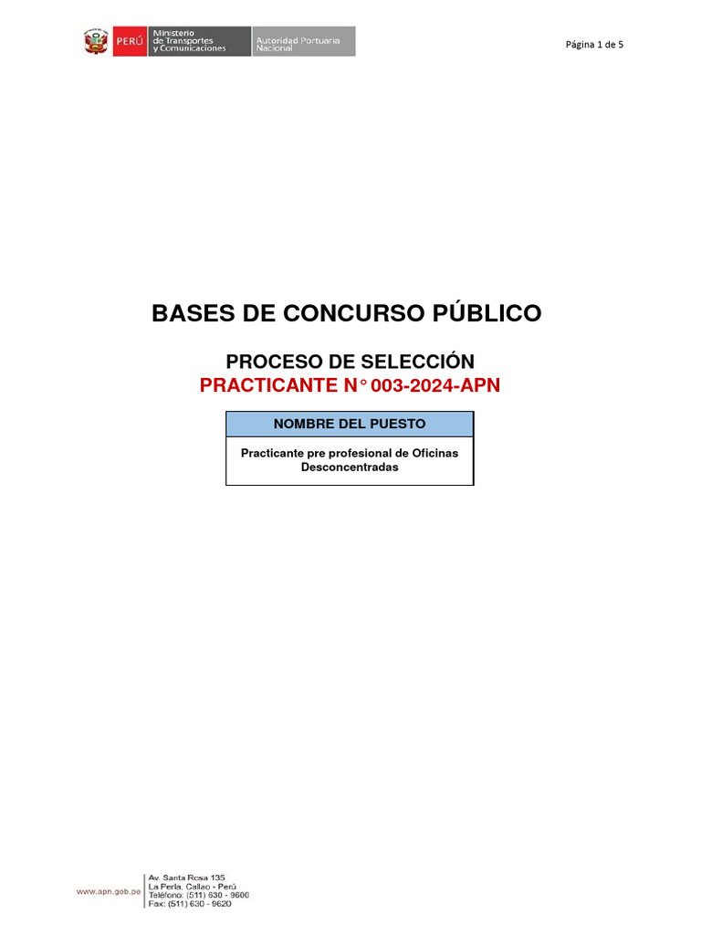 Bases Proceso Prac 003 2024 | PDF