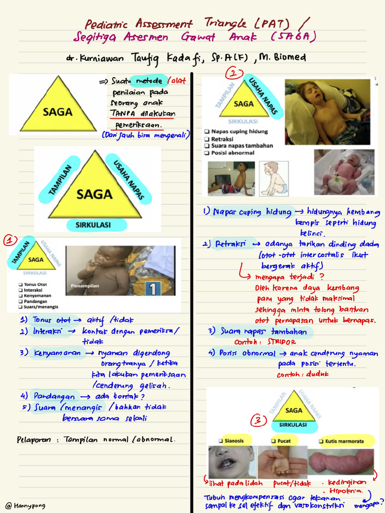 2 Pediatric Assessment Triangle Pat Segitiga Asesmen Gawat Anak Saga ...