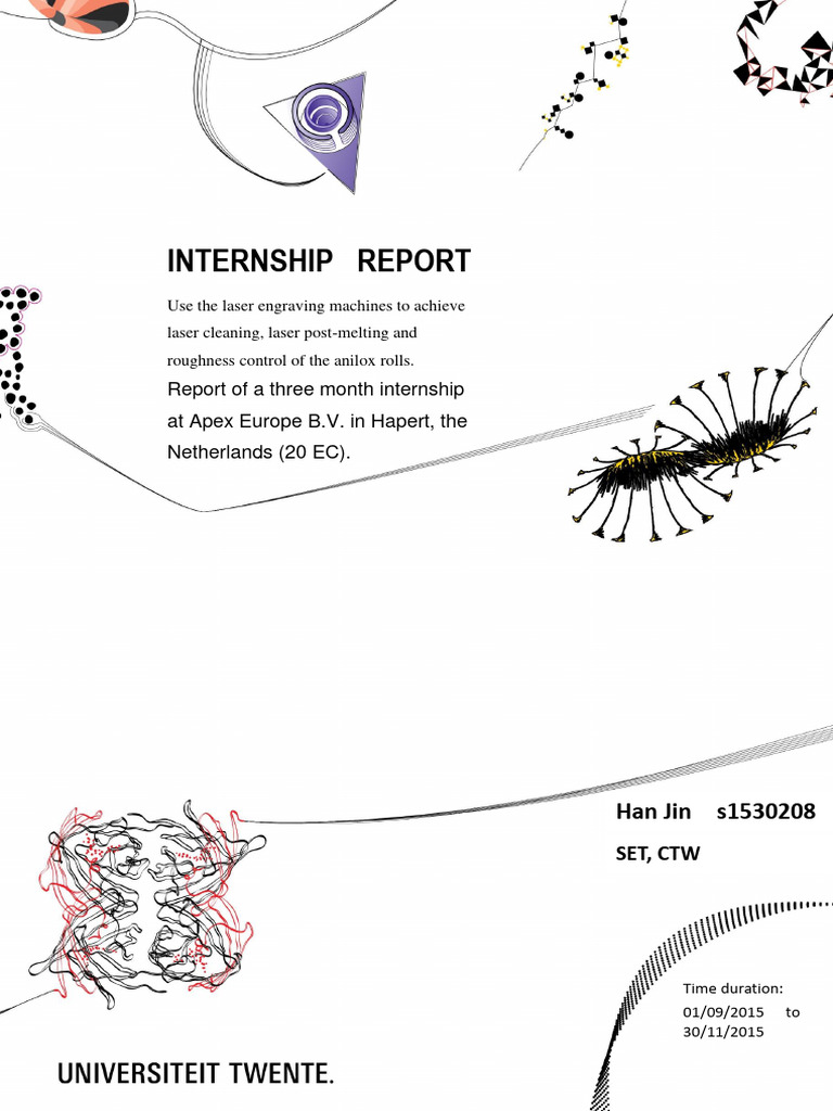 Internship Example | PDF