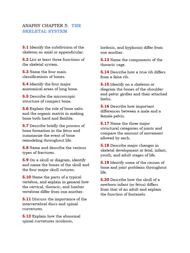 Anaphy Chapter 5 | PDF | Vertebra | Vertebral Column