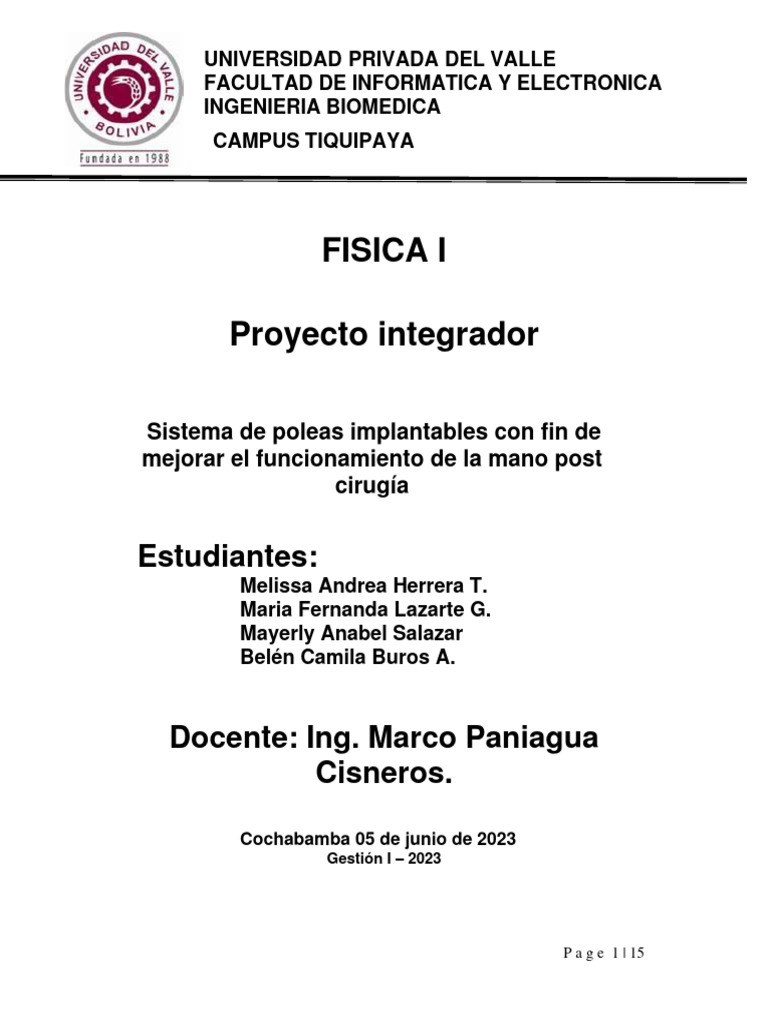 Proyecto Integrador Final Fisica | PDF