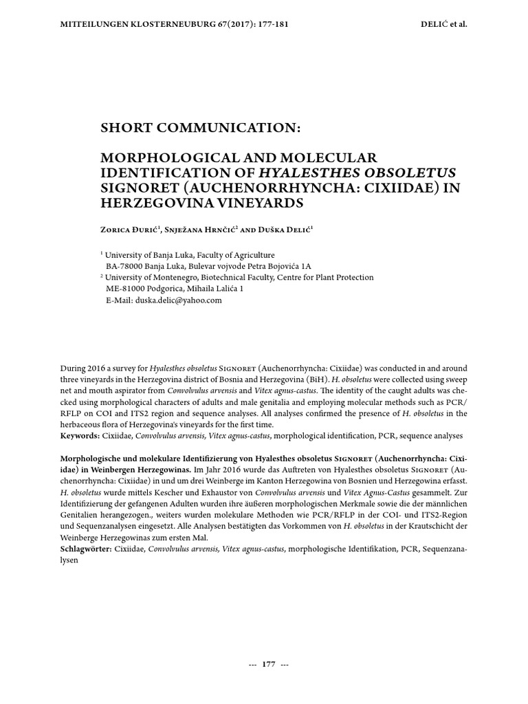Short Communication: Morphological and Molecular Identification of ...