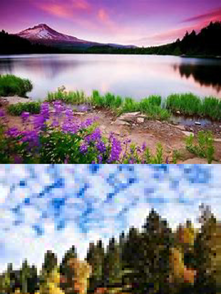 Beautiful Images PDF | PDF