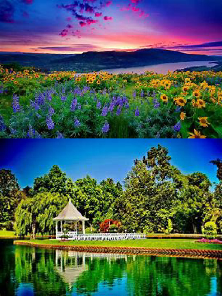 BEAUTIFUL IMAGES PDF | PDF