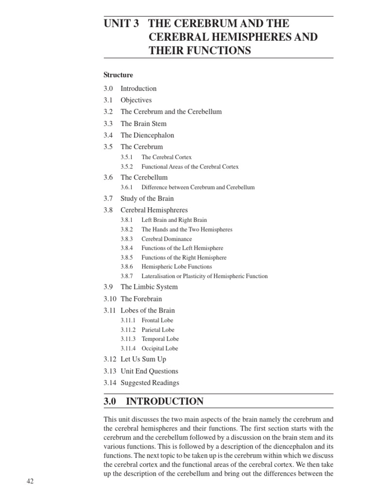 Unit 3 | Download Free PDF | Cerebrum | Brainstem