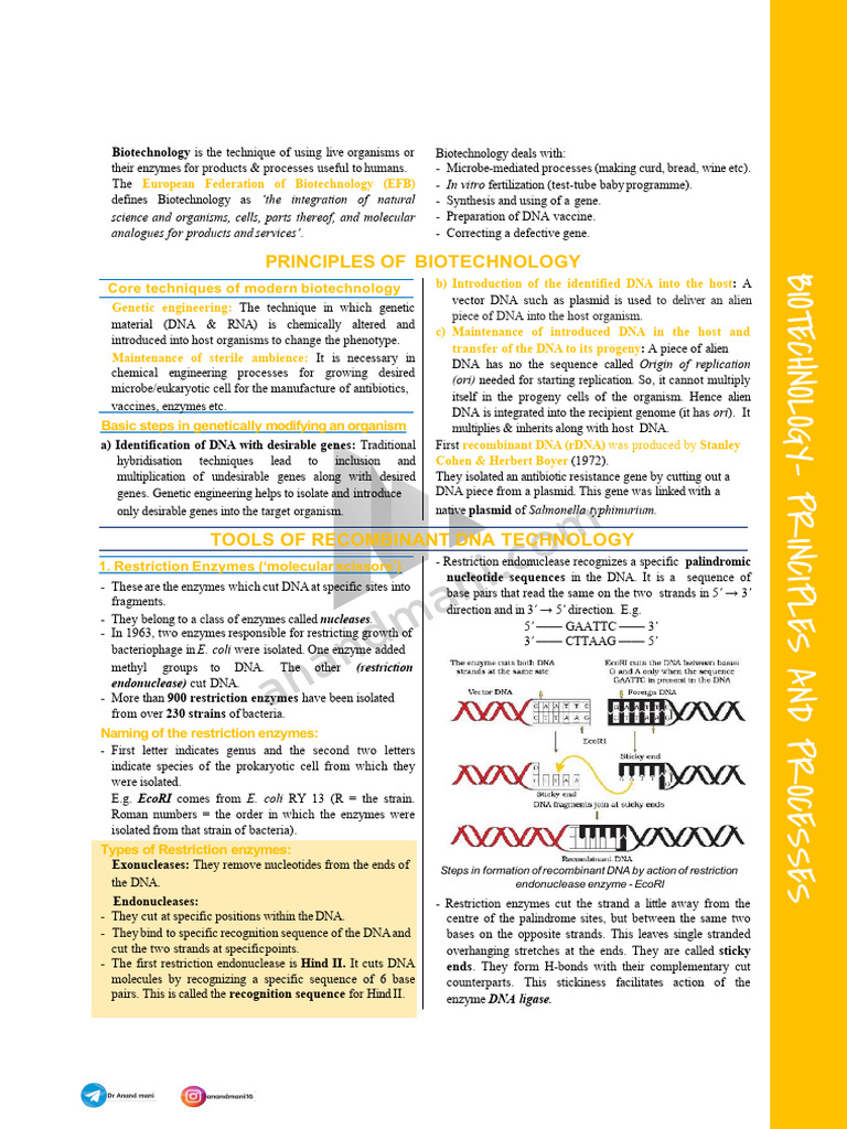 Biotechnology - Principles and Processes | PDF | Restriction Enzyme | Plasmid