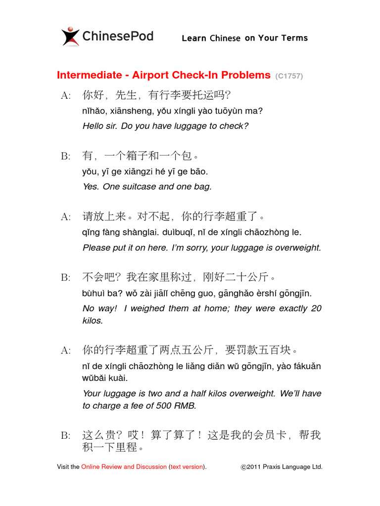 AirportCheckInProblems-notes | PDF | Aviation