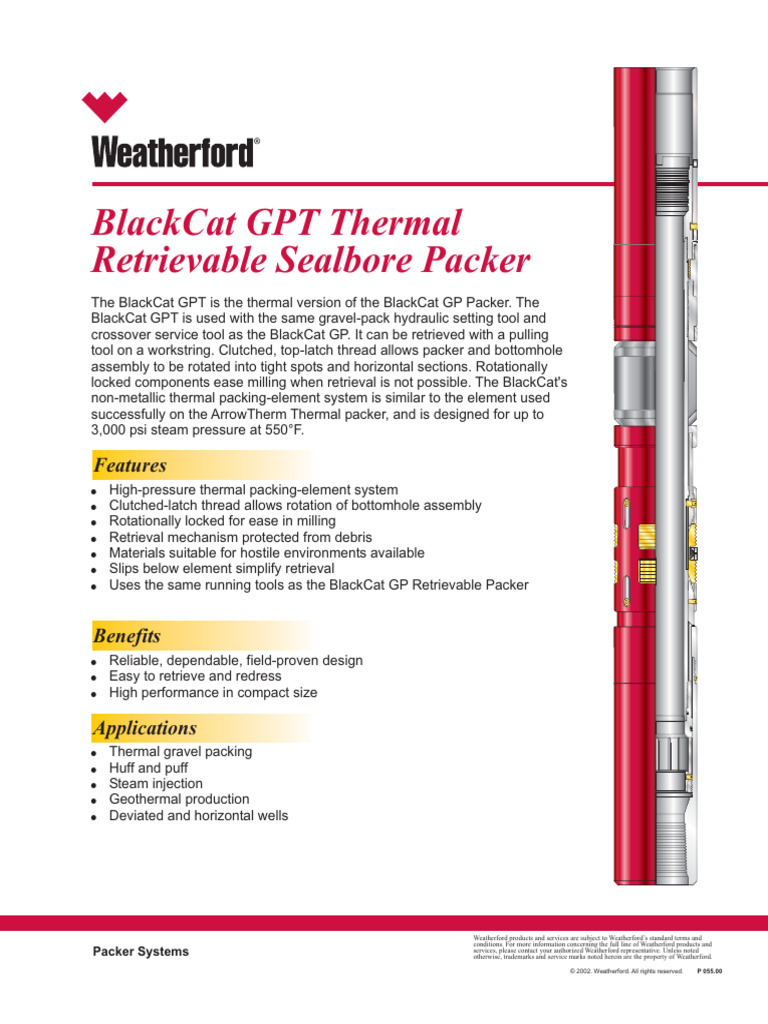 Blackcat GPT Thermal Retrievable Sealbore Packer | Download Free PDF ...