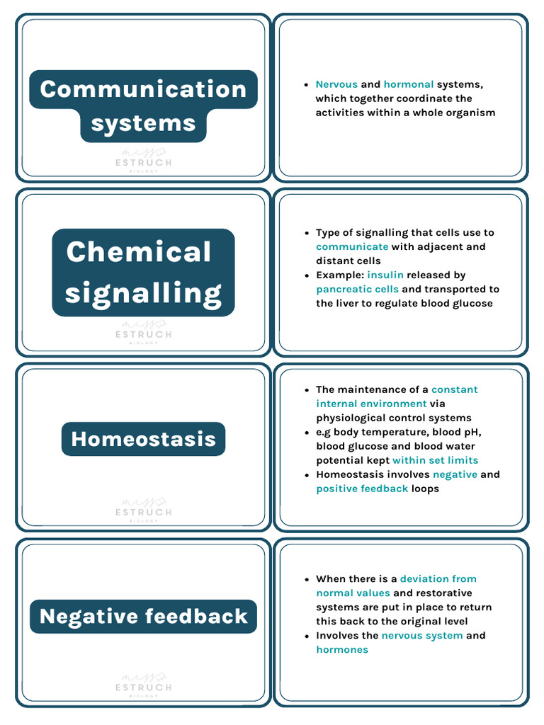 2025 Module 5 Communication, Homeostasis and Energy | PDF | Action Potential | Chemical Synapse