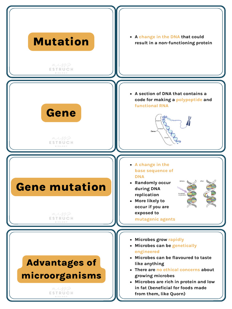 2025 Module 6 Genetics, Evolution and Ecosystems | PDF | Dominance (Genetics) | Genotype