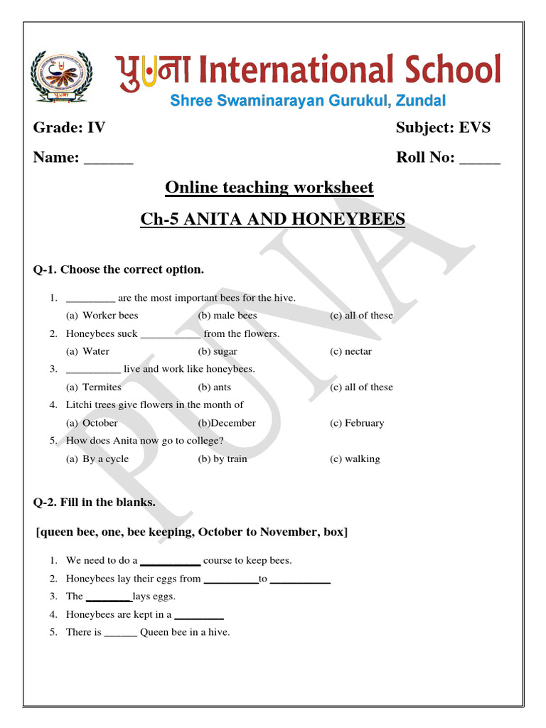 Class 4 Evs Worksheet Ch-5 Anita and Honeybees June 2020 Palak | PDF