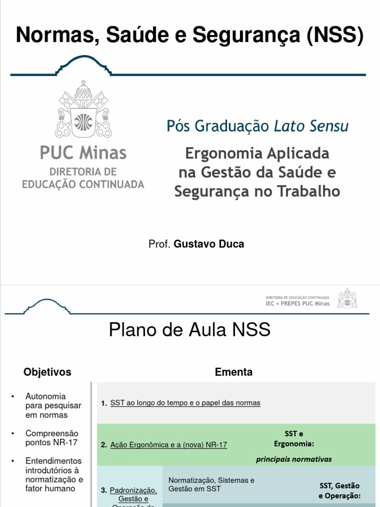 0 - Nova NSS Conteúdo 3 - Normatização e Gestão SST Impressão | PDF ...