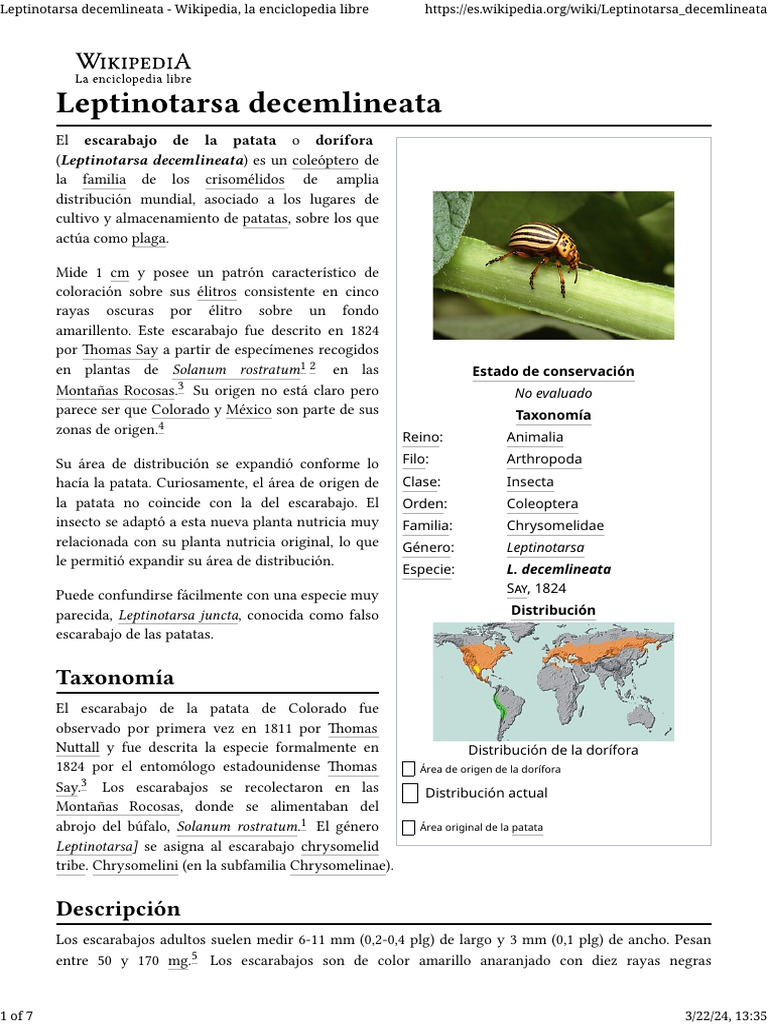 Leptinotarsa Decemlineata - Wikipedia, La Enciclopedia Libre | PDF | Insectos y humanos | Insectos