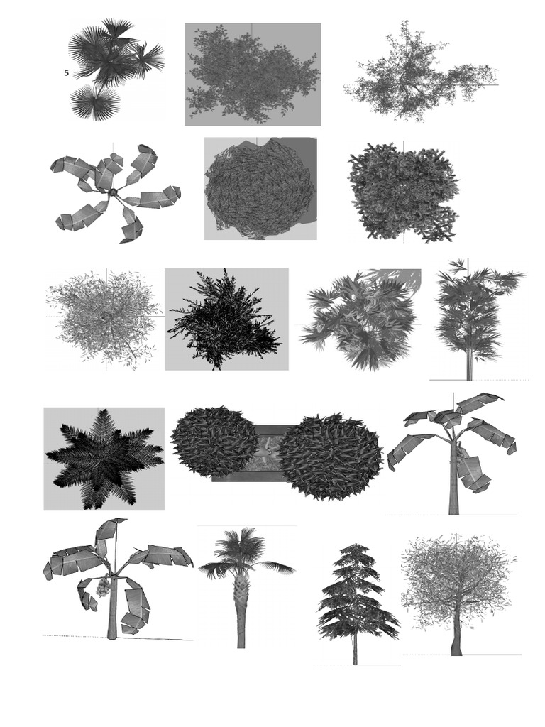 Ento Print Long PDF