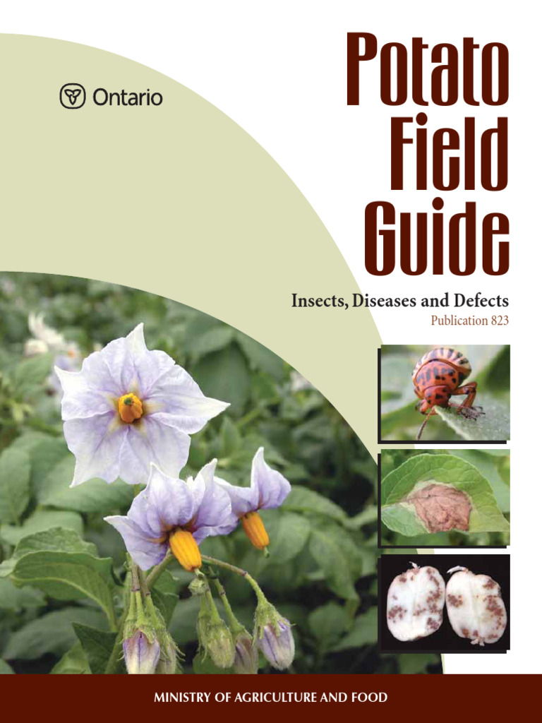 Potato Field Guide: Pests & Diseases | PDF | Beetle | Pupa
