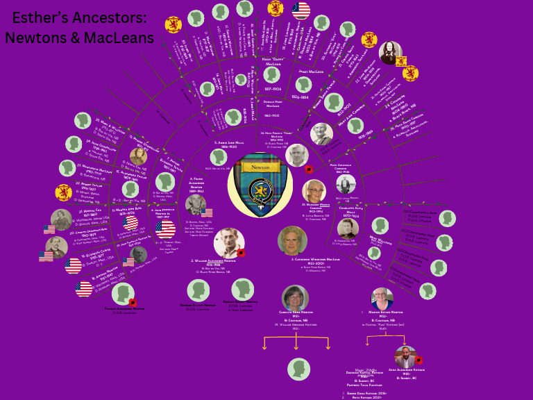 Tree of Life Template #4 | PDF