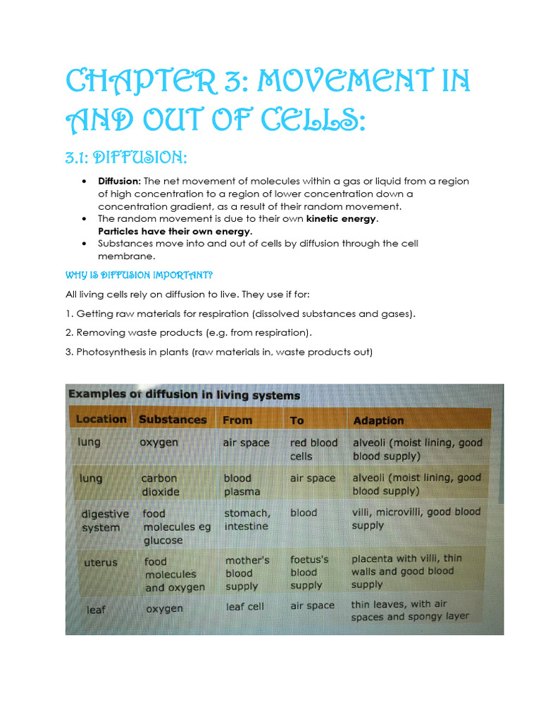 Chapter 3 Movement in and Out of Cells | PDF | Diffusion | Osmosis