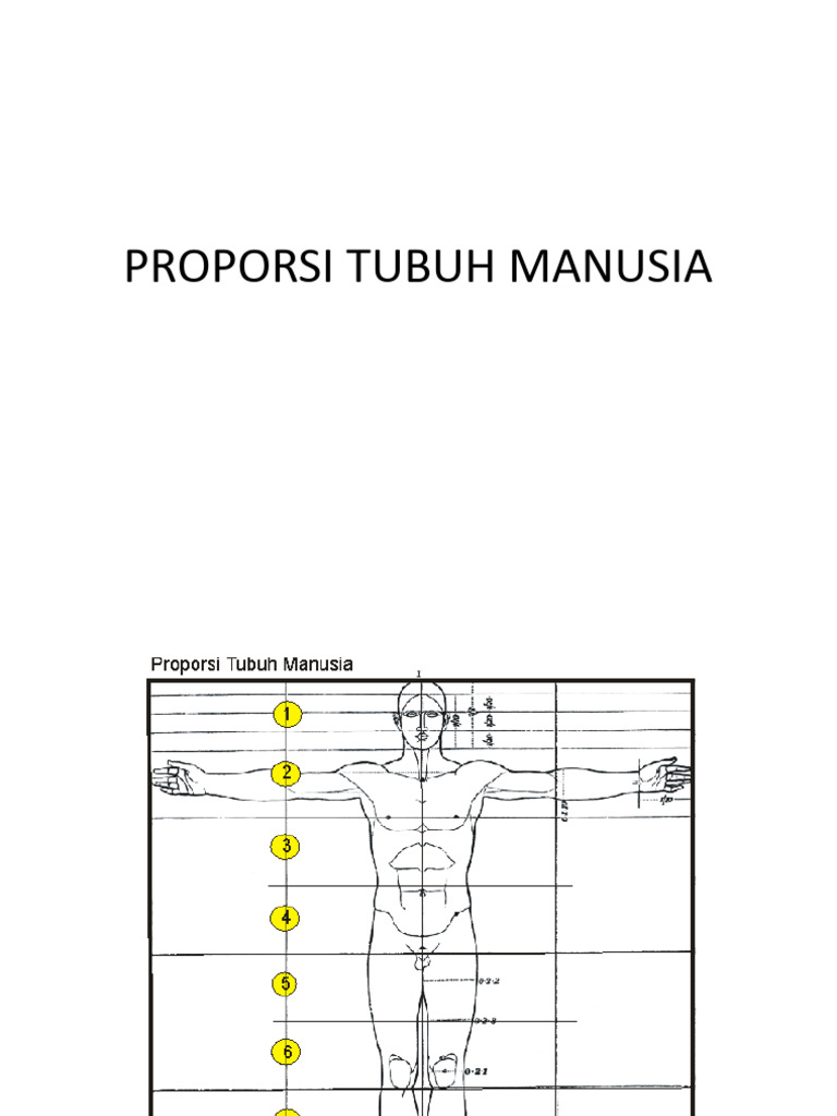 Proporsi Tubuh Manusia | PDF