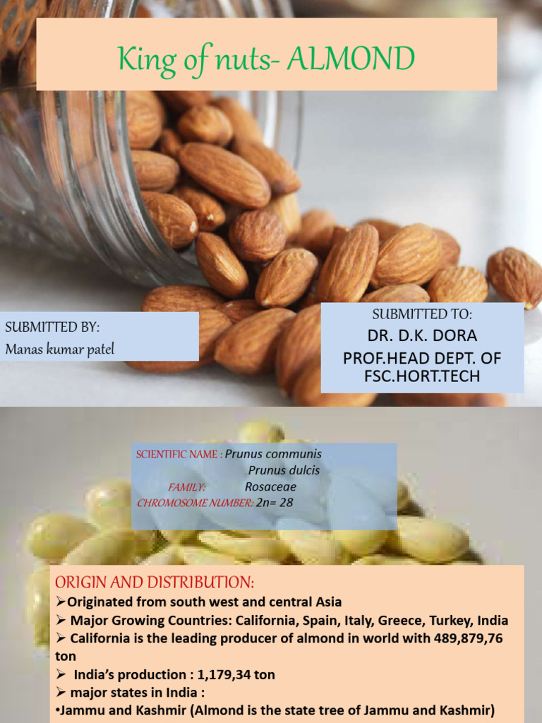 Almond Breeding | Download Free PDF | Almond | Fruit