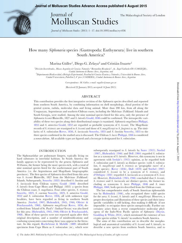 Siphonaria Species in Southern South America | PDF | Tooth | Phylogenetics