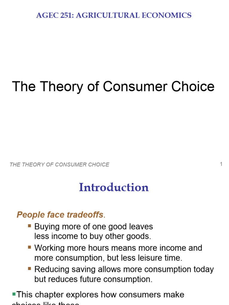 Agec 251-Consumer Demand Theory 4 | PDF | Utility | Labour Economics