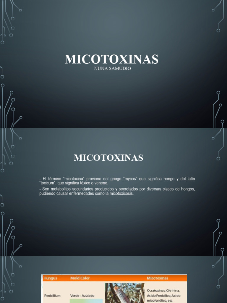 MICOTOXINAS | PDF | Micotoxinas