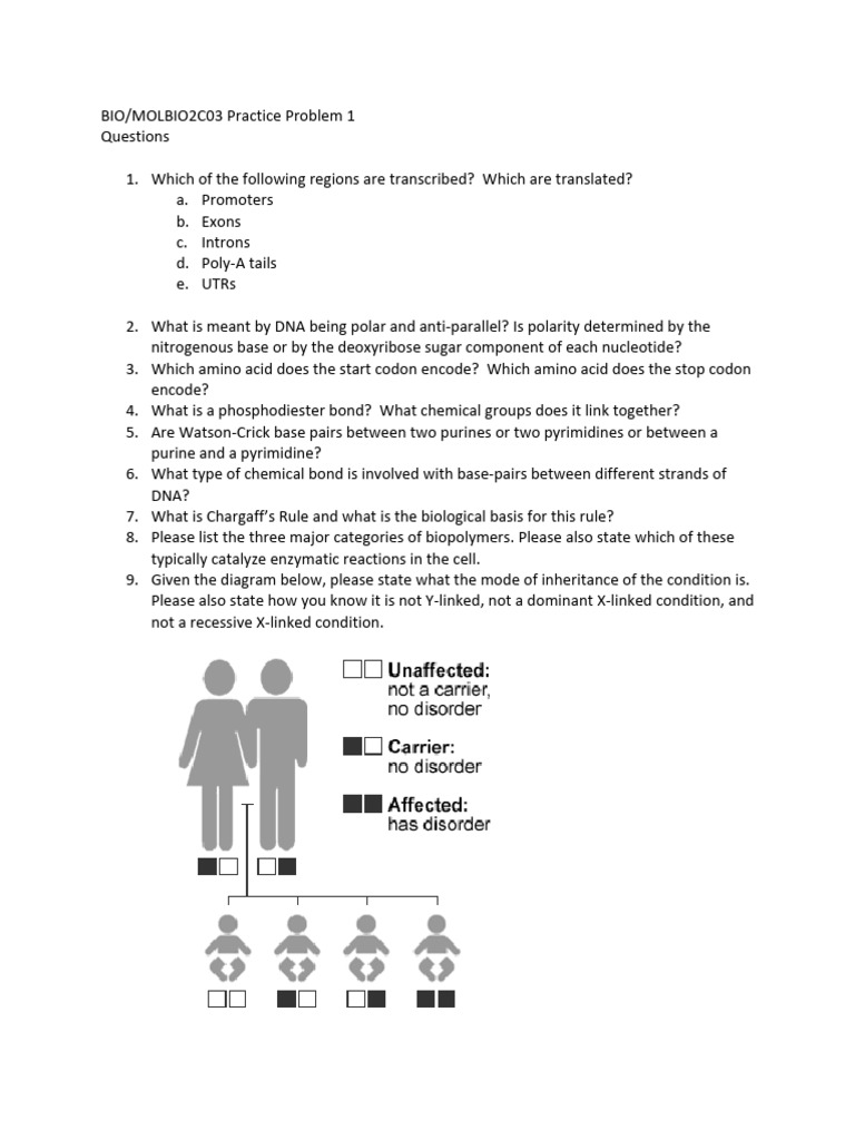 2C03 Evans Practice Problems 1 and Answers | PDF | Dna | Nucleotides