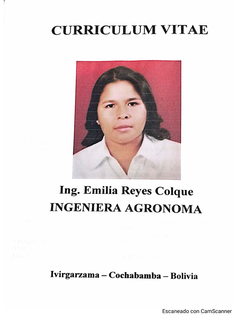 C.V. Emilia Reyes Colque | PDF