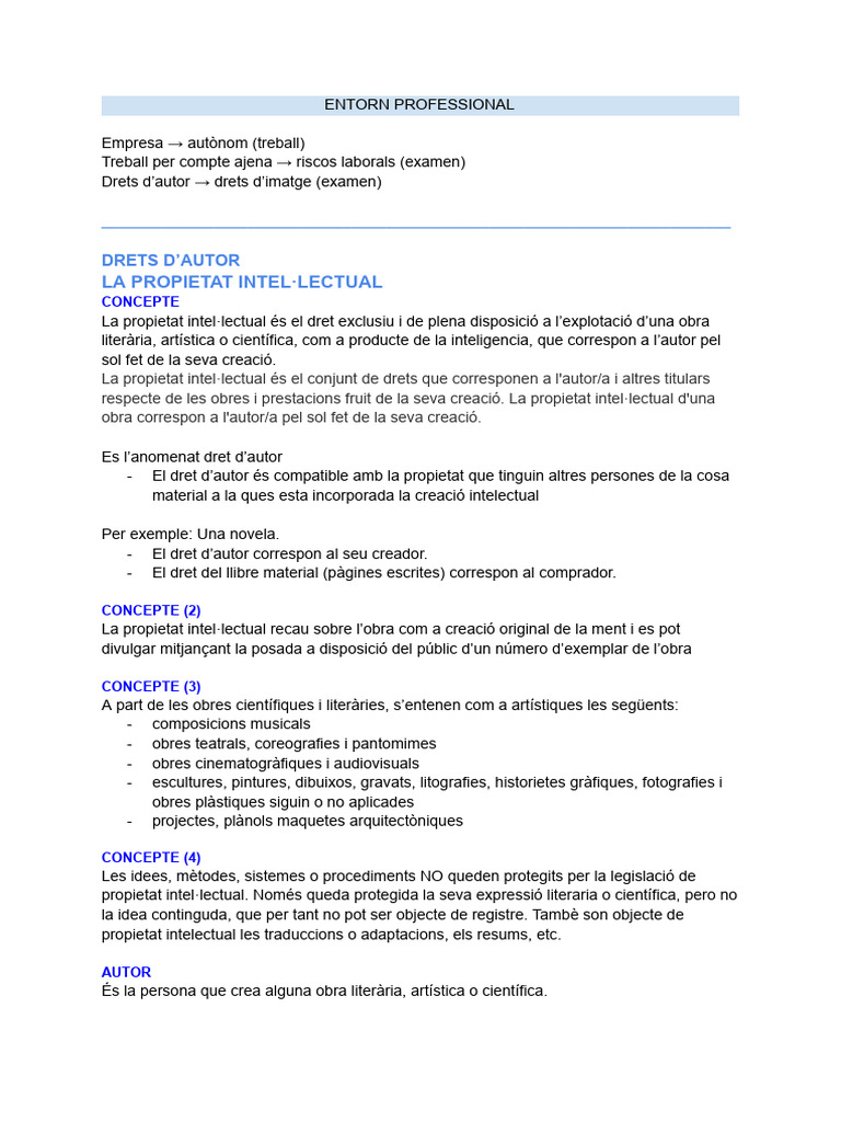 Apunts Propietat Intel·Lectual | PDF