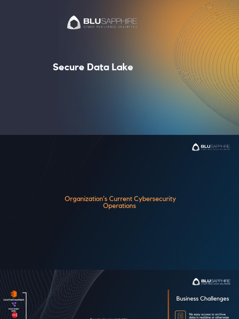 BluSapphire Secure Data Lake (1) | PDF