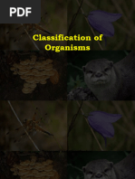 Taxonomy Classification of Slugs and Snails | PDF | Mollusca | Taxonomy ...