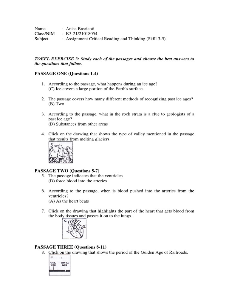 Assignment of Skill 3-5 - Anisa Basrianti | PDF | Heart | Artery